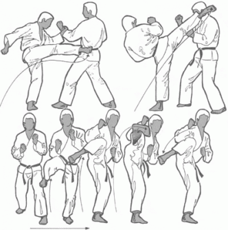 Jok Ki Training – SOAR Tang Soo Do