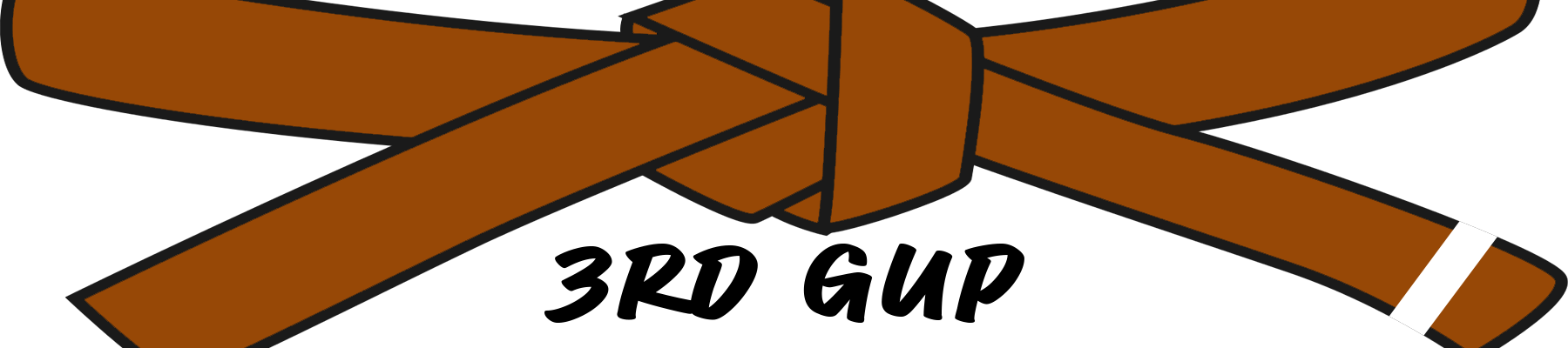 3rd Gup – Senior Brown Belt – SOAR Tang Soo Do