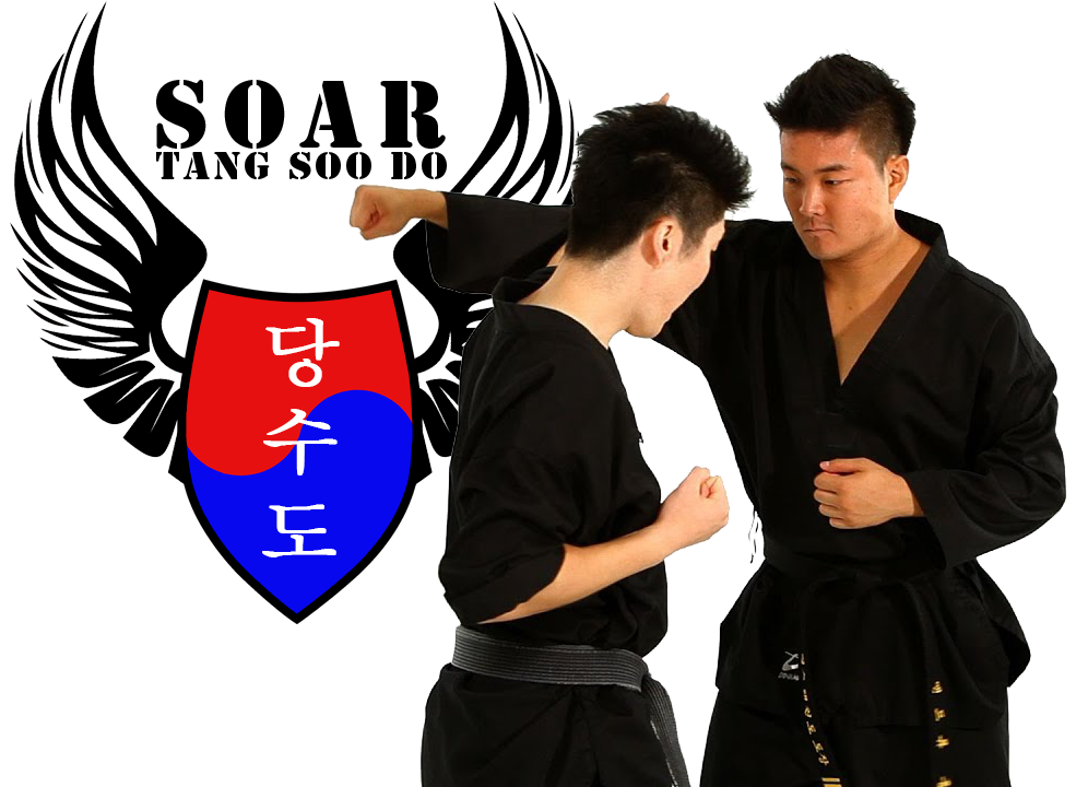 Saor Training: One Steps – SOAR Tang Soo Do