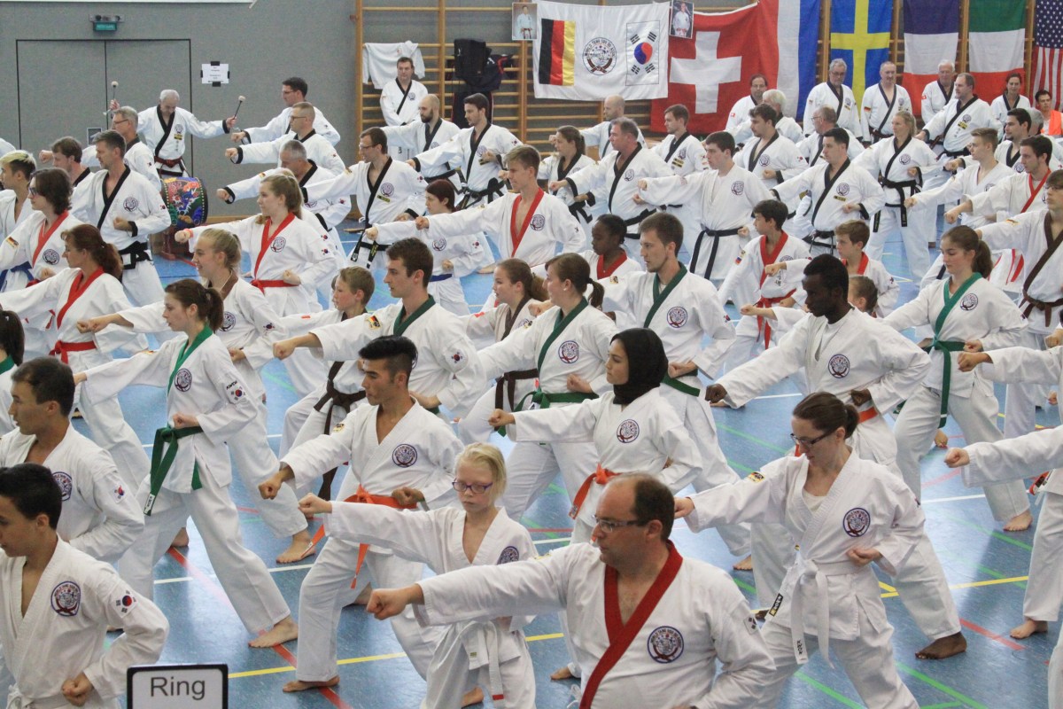 Soar Training: Drill, Review, and Test Prep – SOAR Tang Soo Do