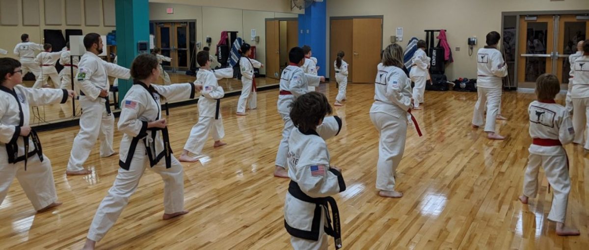 Soar Training: Drill, Review, and Test Prep – SOAR Tang Soo Do